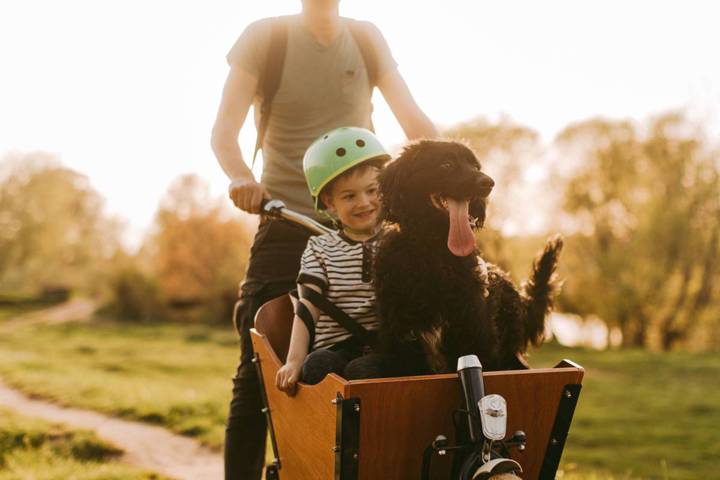 Ausstattung Wohnungen - PANDION COSY