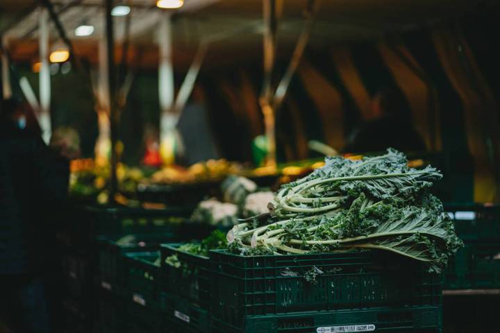 3-Zimmer Wohnung kaufen Köln Braunsfeld - PANDION COSY